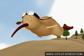 Kiwi GIF - Find on GIFER