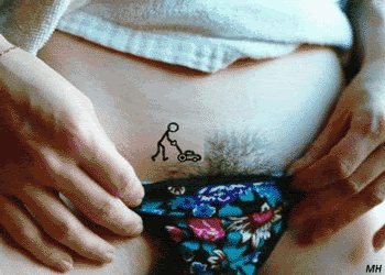 Entomology GIF - Find on GIFER