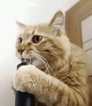 Bong hit GIF - Find on GIFER