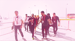 Гифка esc победитель евровидение гиф картинка, скачать анимированный ...