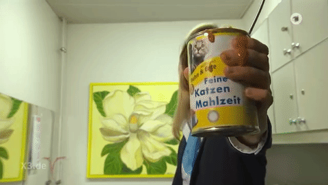 Ravioli festival dinner GIF - Find on GIFER