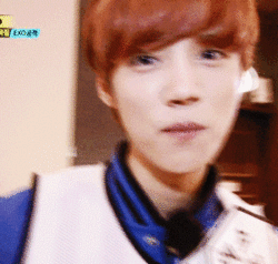 Lastarya Gif