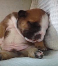 Plop GIF - Find on GIFER