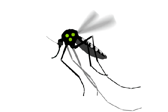 Mosquito GIF - Find on GIFER