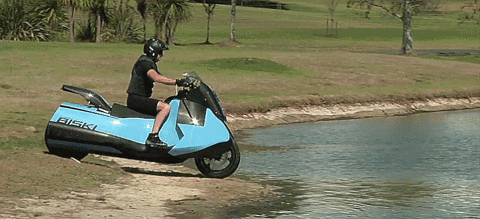 Amphibian GIF - Find on GIFER