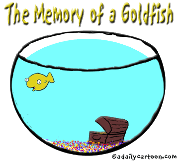 Goldfish GIF - Find on GIFER