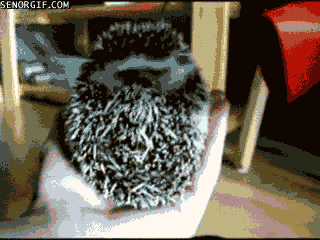 Spinning orb prism GIF - Find on GIFER