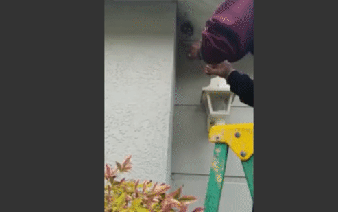 Strongman episode 5 season 17 GIF - Find on GIFER