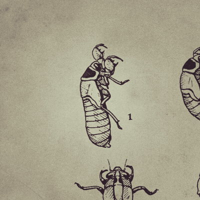 GIF growth - animated GIF on GIFER