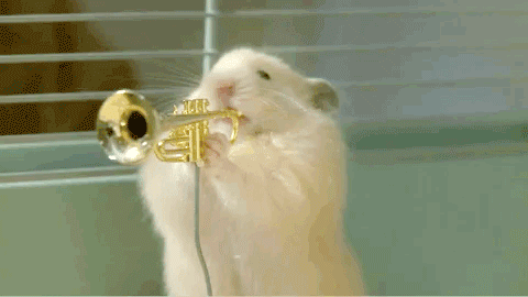 Grupo orquestra musica GIF - Encontrar em GIFER