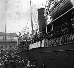 Immigration GIF - Find on GIFER