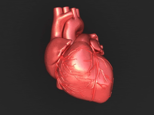 GIF health heart fundraiser - animated GIF on GIFER