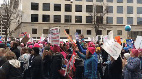 Womens march dc feminist parade womensmarch GIF - Trouver sur GIFER