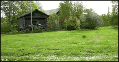 Lawn GIF - Find on GIFER