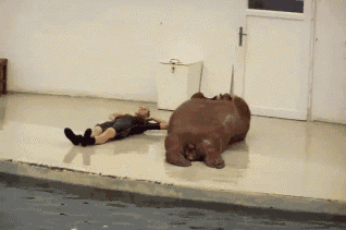Trainer sit up GIF - Find on GIFER