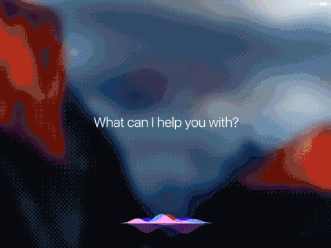 El GIF - Find on GIFER