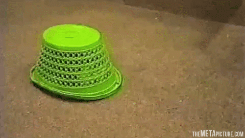 Cat goals baskets GIF - Find on GIFER