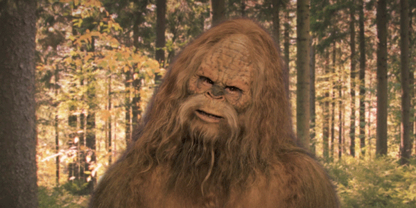 Sasquatch jack links GIF - Find on GIFER