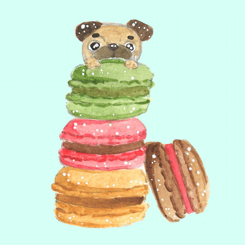 Macarons pugs cute GIF - Find on GIFER