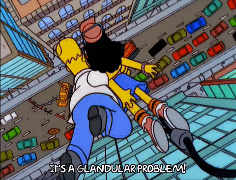 GIF otto mann bungee jumped - animated GIF on GIFER