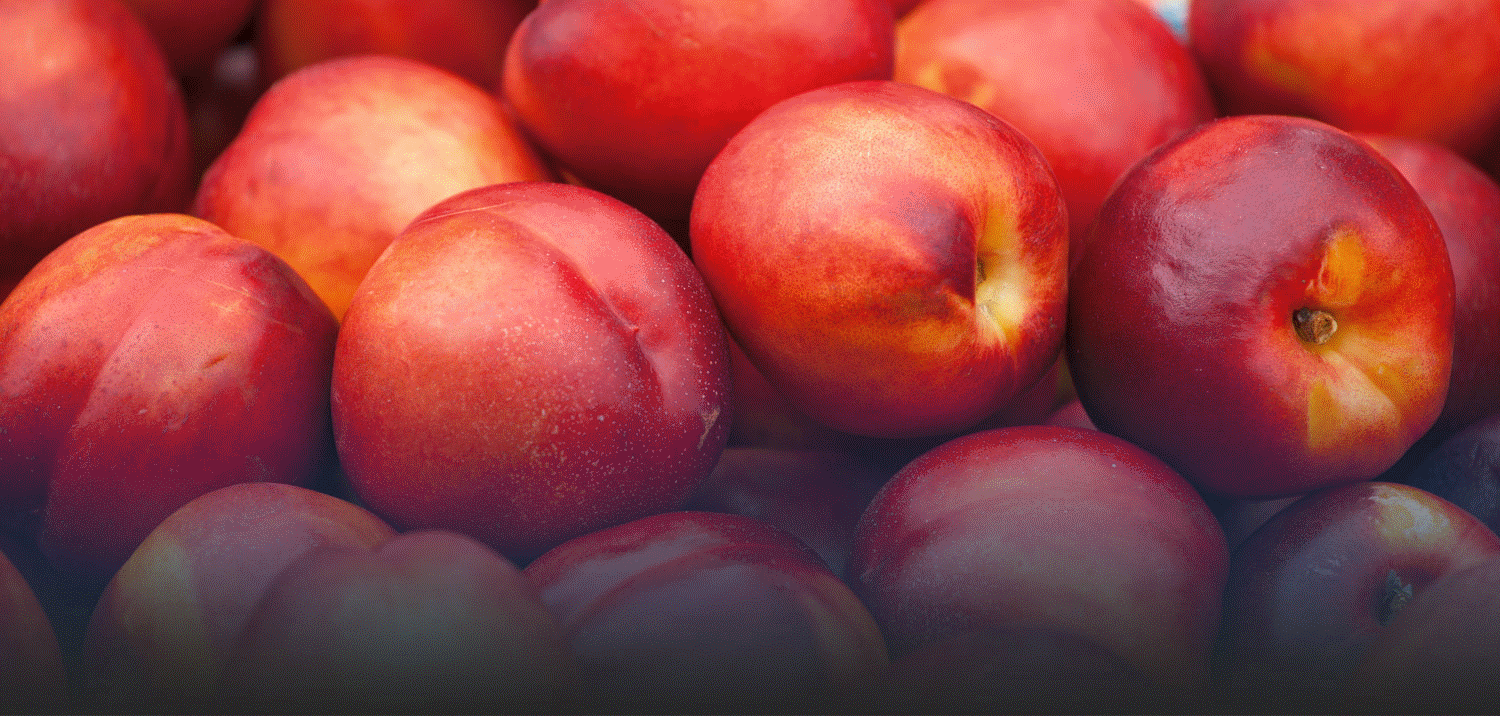 Nutrition GIF - Find on GIFER