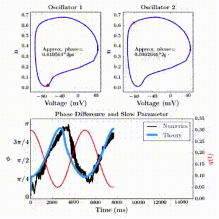 Neuron videos period GIF - Find on GIFER