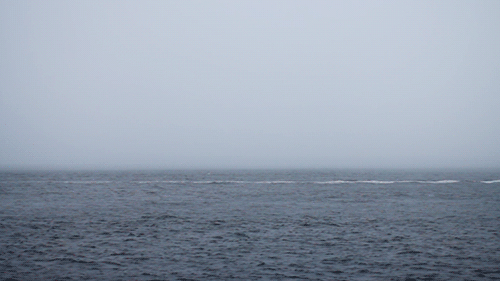 California san francisco the bay GIF - Find on GIFER