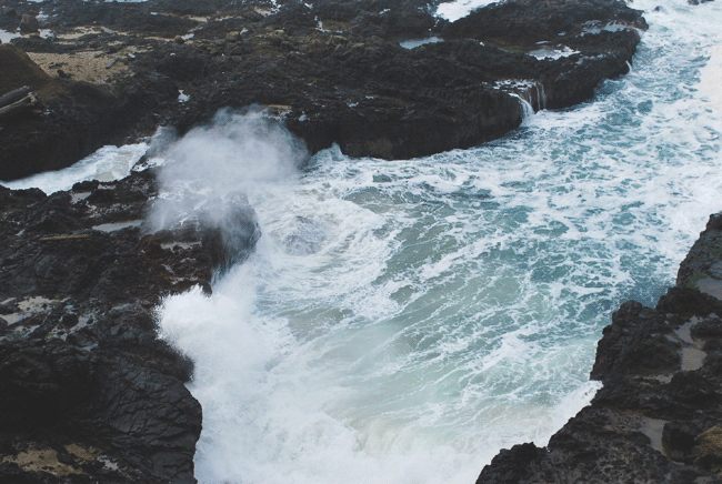 Oregon GIF - Find on GIFER