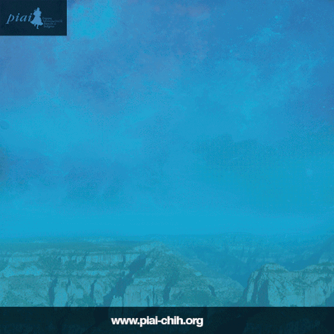 Program GIF - Find on GIFER