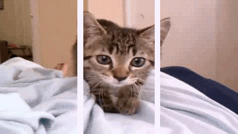 Depth GIF - Find on GIFER