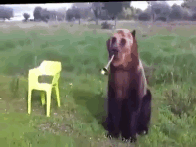 Veto GIF - Find on GIFER