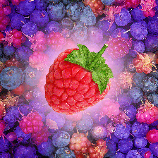 GIF berries raspberry berry - animated GIF on GIFER