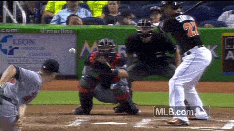 Mlb fan GIF - Find on GIFER