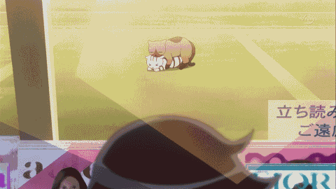 GIF cat anime watamote - animated GIF on GIFER