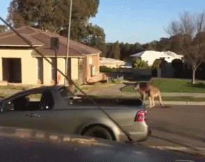 Street fighting GIF - Find on GIFER