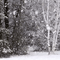 GIF snowy - animated GIF on GIFER