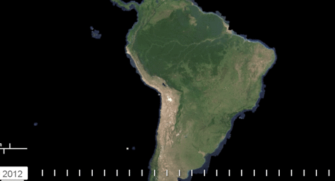 Oc amazon GIF - Find on GIFER