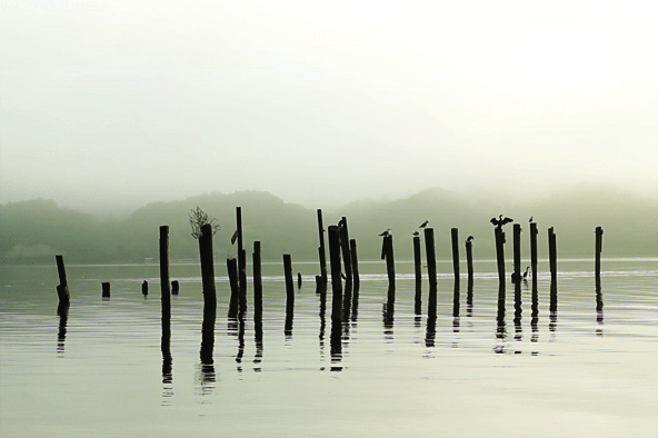 Lake scenic water GIF - Find on GIFER