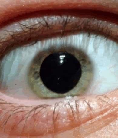 Psilocybin GIF - Find on GIFER