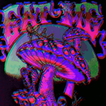 Shrooms GIF - Find on GIFER