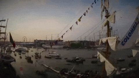 Amsterdam sail GIF - Find on GIFER