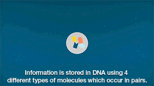 GIF dna life science - animated GIF on GIFER