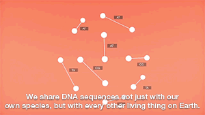 Dna life science GIF - Find on GIFER