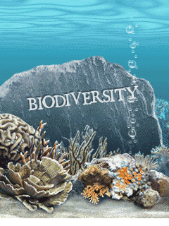 GIF diversity - animated GIF on GIFER