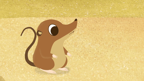 GIF safety safety first safe - animated GIF on GIFER