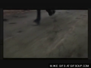 Running GIF - Find on GIFER