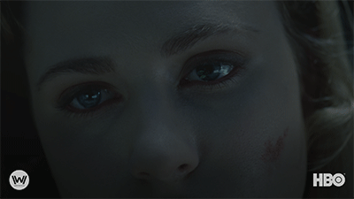 GIF hbo westworld tim roth - animated GIF on GIFER