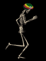 Rasta GIF - Find on GIFER