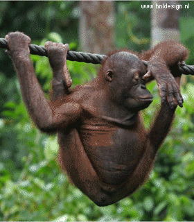 Poo GIF - Find on GIFER