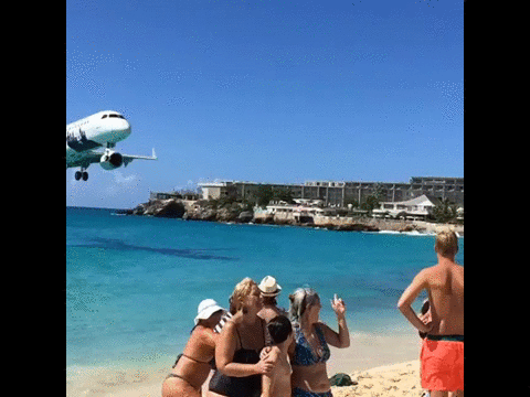 Basketball wnba teammates GIF - Find on GIFER